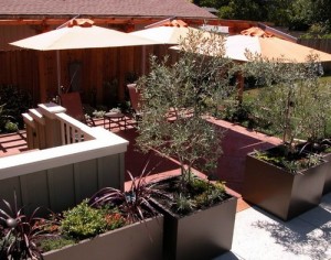 Кашпо для цветов (30 фото) | Дом Мечты